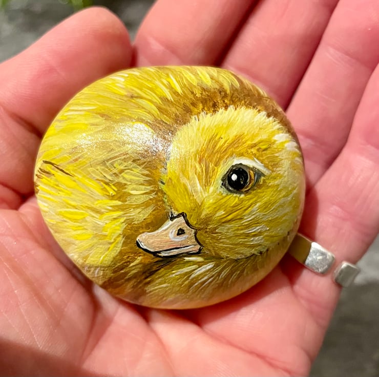 Duckling hand painted pebble garden rock art - Folksy