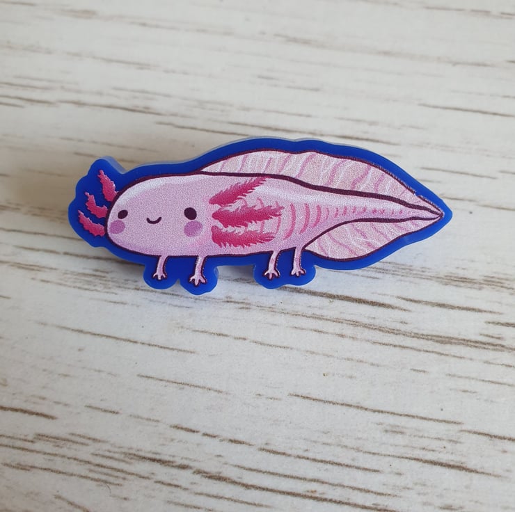 Axolotl Pin - Folksy