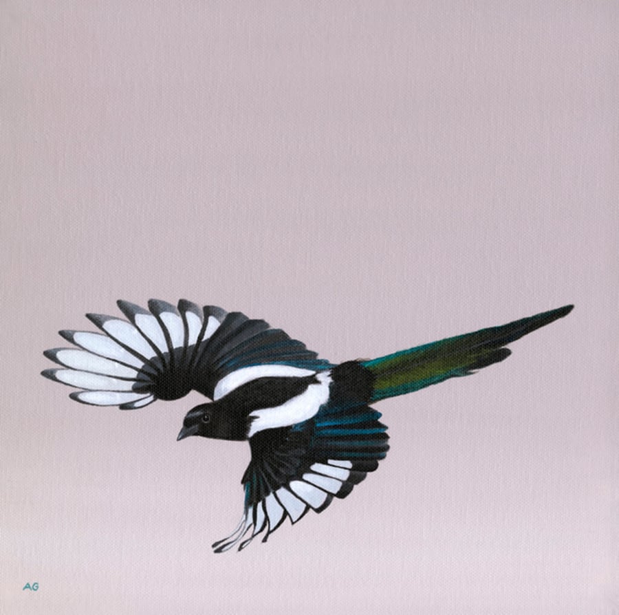 Fine Art Giclée Print Magpie in Flight Bird - Folksy