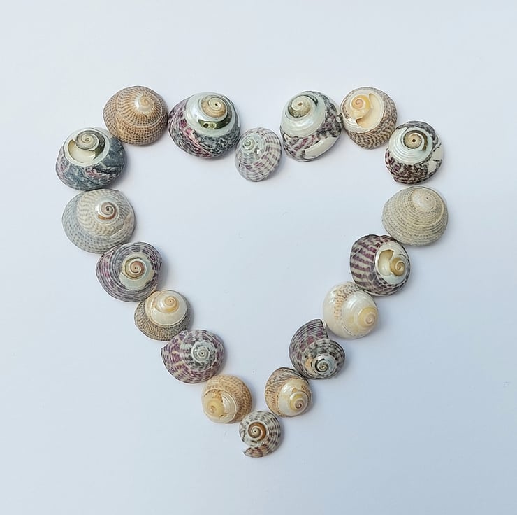 Cornish shell heart - Folksy