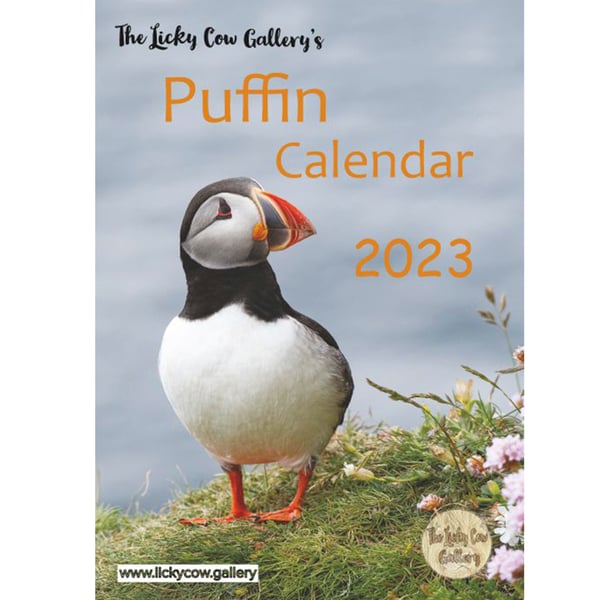 Puffin 2023 Calendar A4 wire bound with hanger - Folksy
