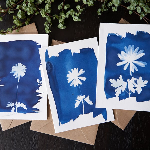 handmade A6 cyanotype cards "Anemone"... - Folksy