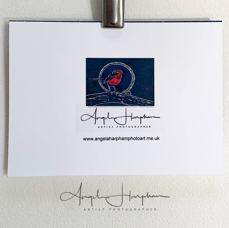 Robin Christmas Card - Winter Festival - Blank ... - Folksy