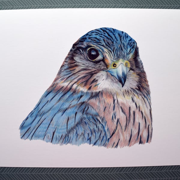 Merlin Coloured Pencil Drawing - Original Art -... - Folksy
