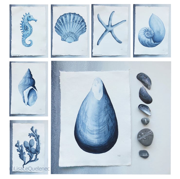 Sale Original scallop painting in blue and whit... - Folksy