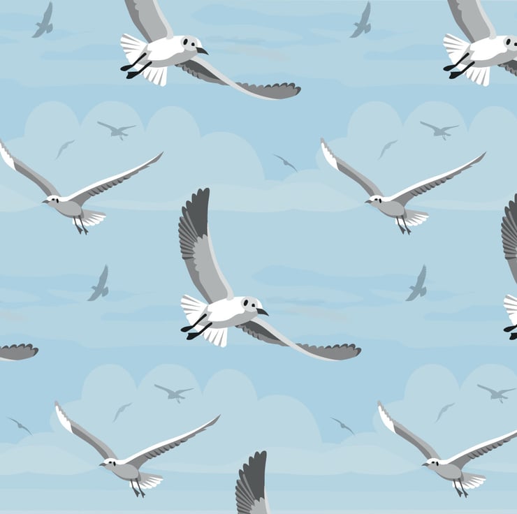 Seagull Gift Wrapping Paper Set - Seaside, Brit... - Folksy