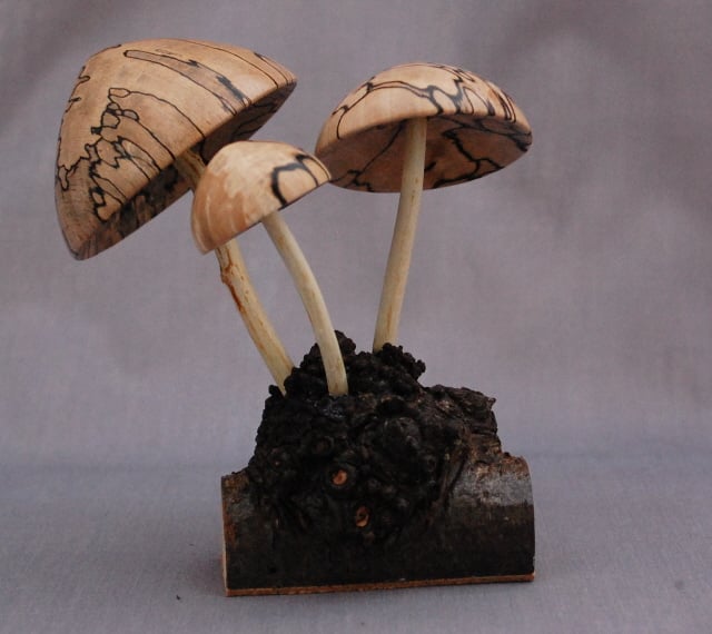Toadstool Sculpture on Burr Birch - Folksy