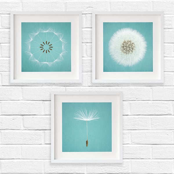 Deconstructed dandelion clock, Duck egg blue se... - Folksy