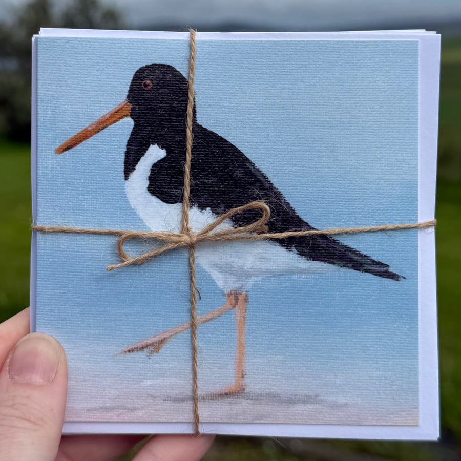 Oystercatcher and puffin set of 6 notecards - Folksy