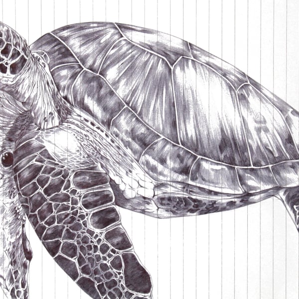 Sea Turtle Black Ballpoint Pen Art Authenticate... - Folksy