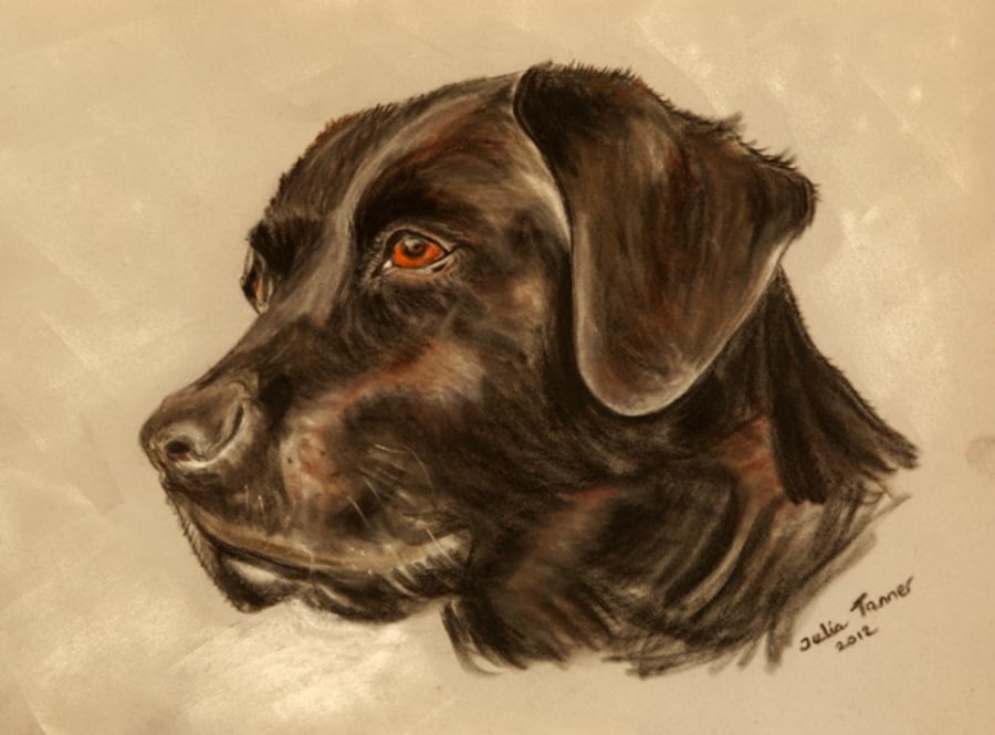 Black labrador, original pastel drawing, painting - Folksy
