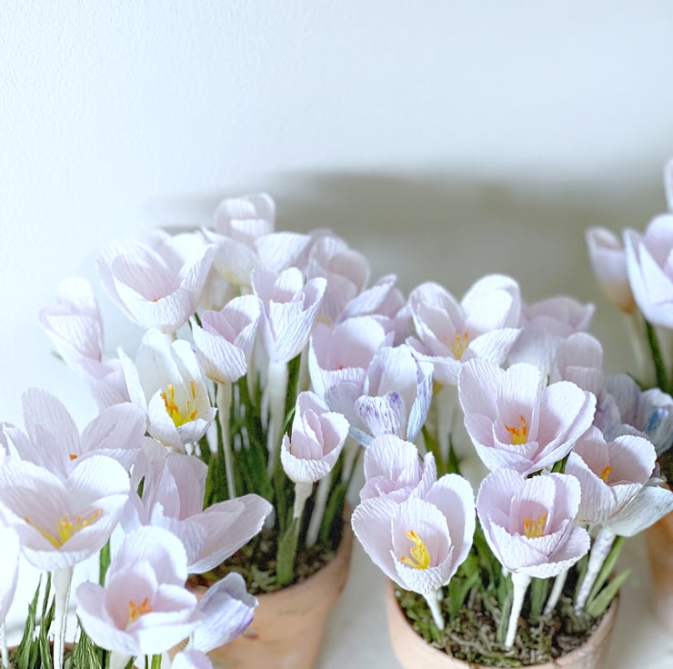 Crocus Paper Flowers for Mother's Day Gifts - Folksy