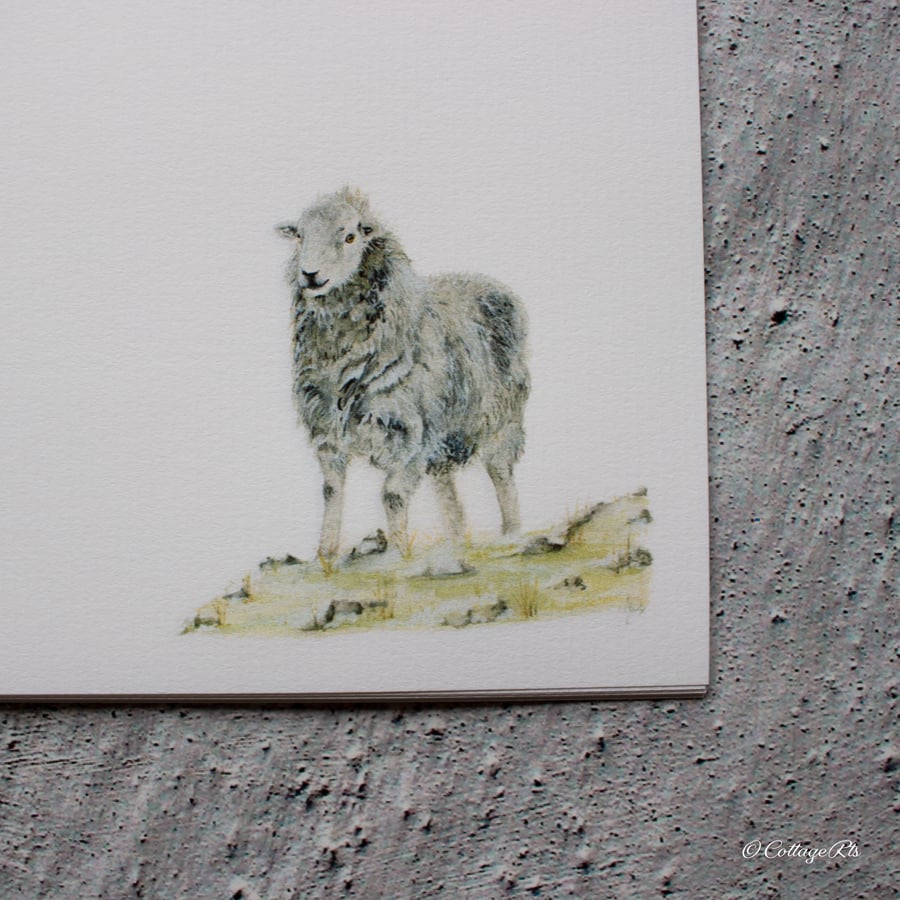 Letter Writing Paper Herdwick Sheep Hand Design... - Folksy