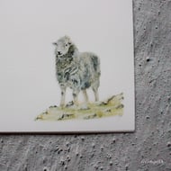 Letter Writing Paper Herdwick Sheep Hand Design... - Folksy