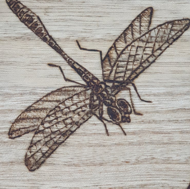Wooden memory box, pyrography bees, daisies and... - Folksy