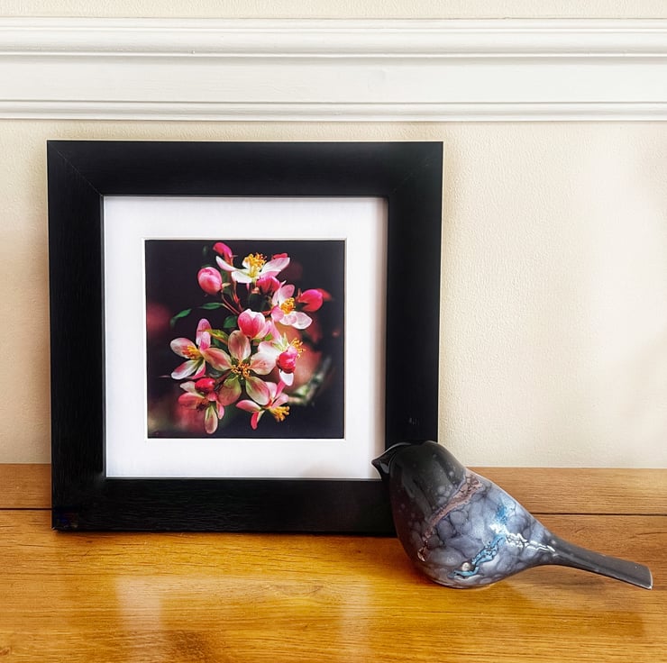 Pink Blossom Framed Fine Art Print - Folksy
