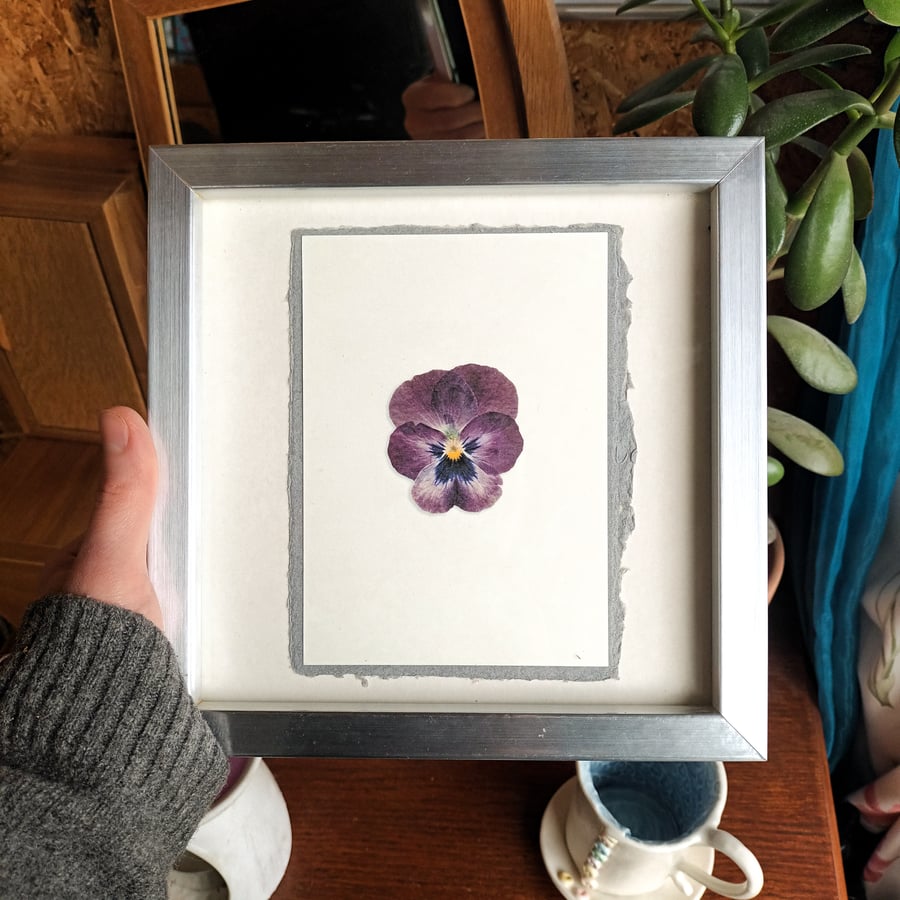 A6 flower print, Pressed Viola Flower - Folksy