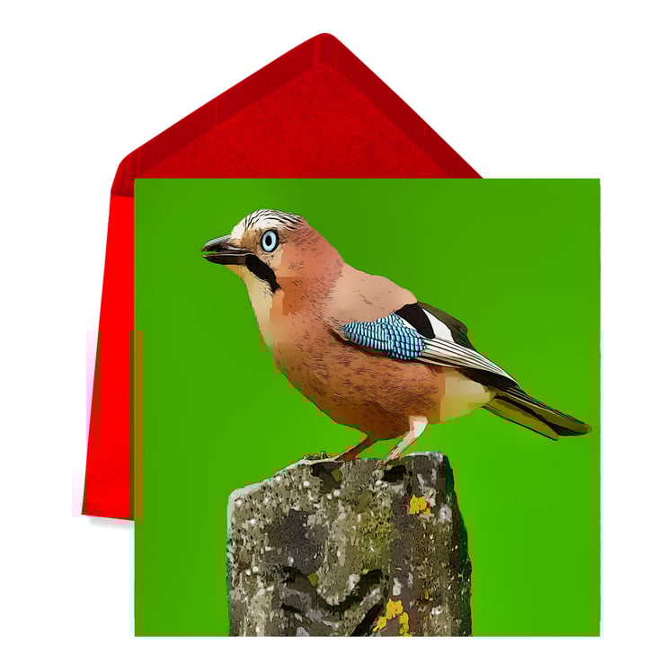 Jay Greeting, Birthday Card; So Colourful - Folksy