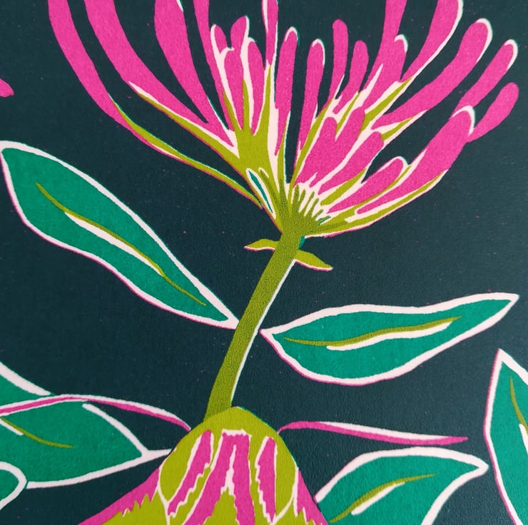 Elephant Hawkmoth screenprint - Folksy