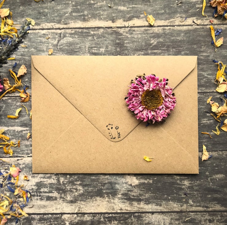 Plantable Seed Paper Birthday Card, Floral Note... - Folksy