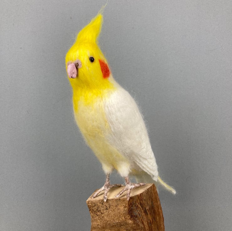 White needle felted cockatiel - Folksy