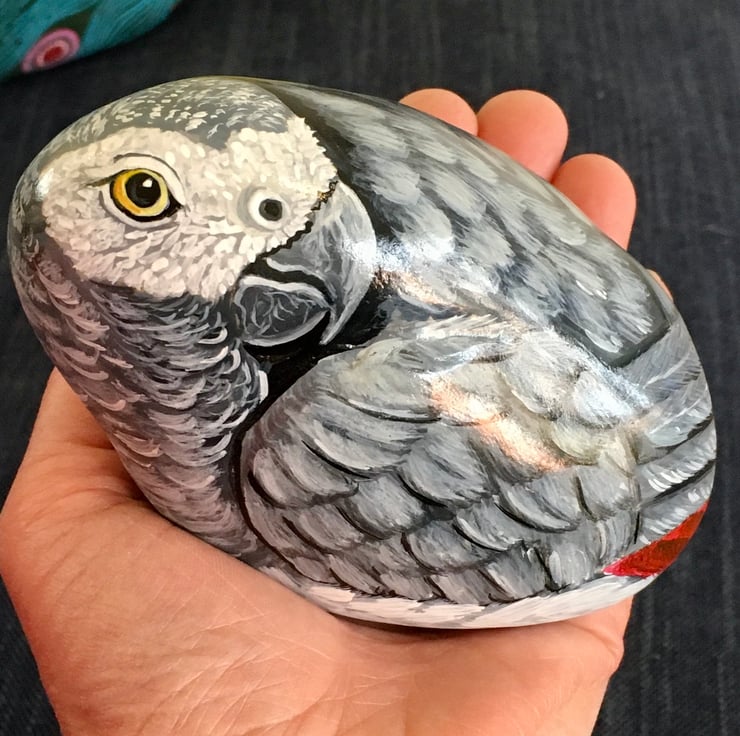 Grey Amazon parrot painted pebble garden rock a... - Folksy
