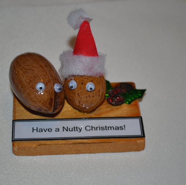 Nutty Gift - Christmas - Folksy