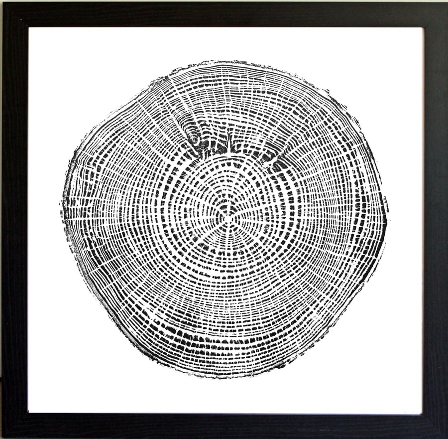 Ash Tree Ring Art Print 50cm diameter in black - Folksy