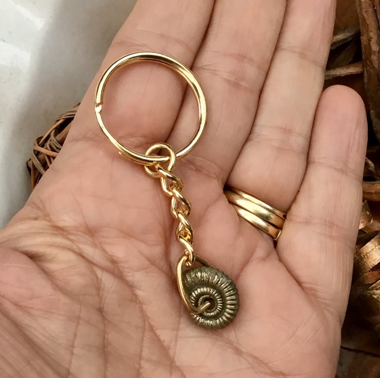 Small Prestige Golden Pyrite Ammonite Fossil Ke... - Folksy