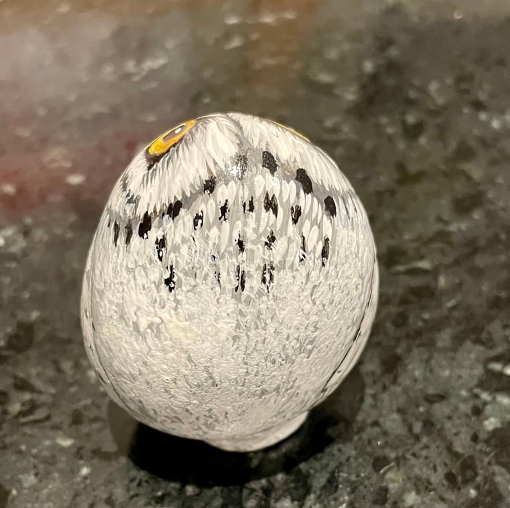 Owl hand painted pebble garden rock art wildlif... - Folksy