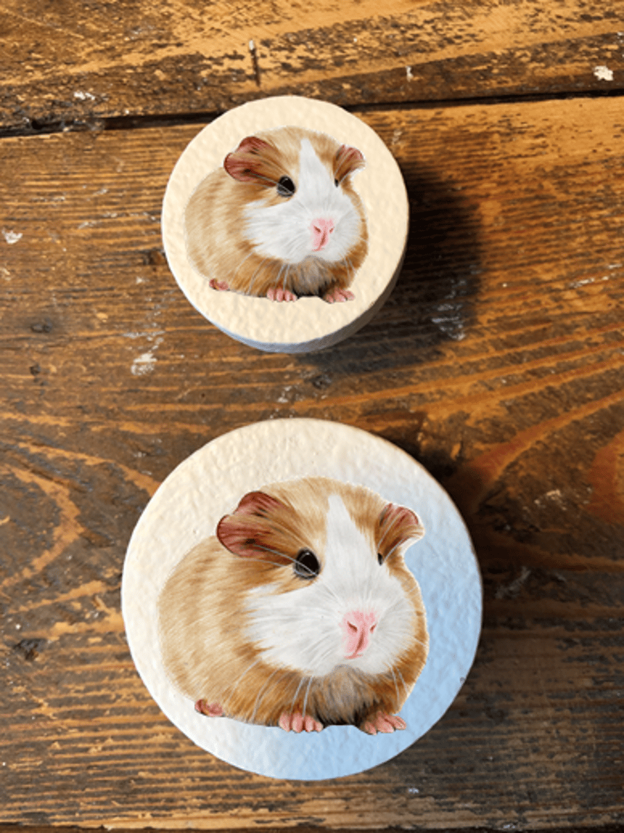 Handmade Guinea Pig pine door knobs wardrobe dr... - Folksy