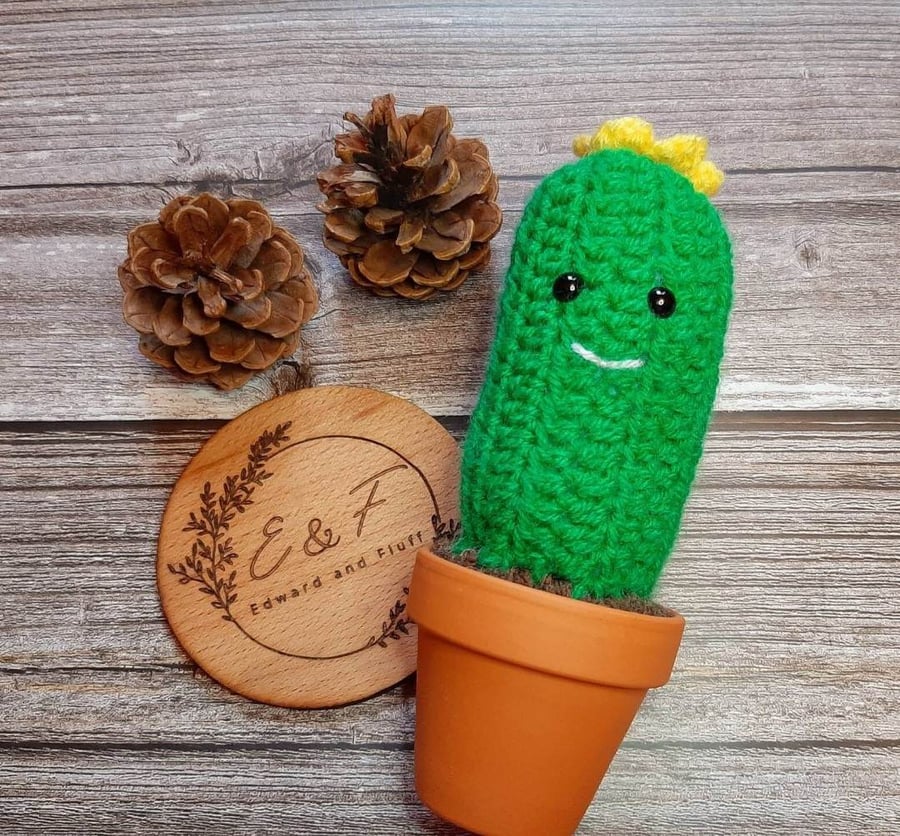 Crochet cactus in terracotta pot, Handmade cact... - Folksy