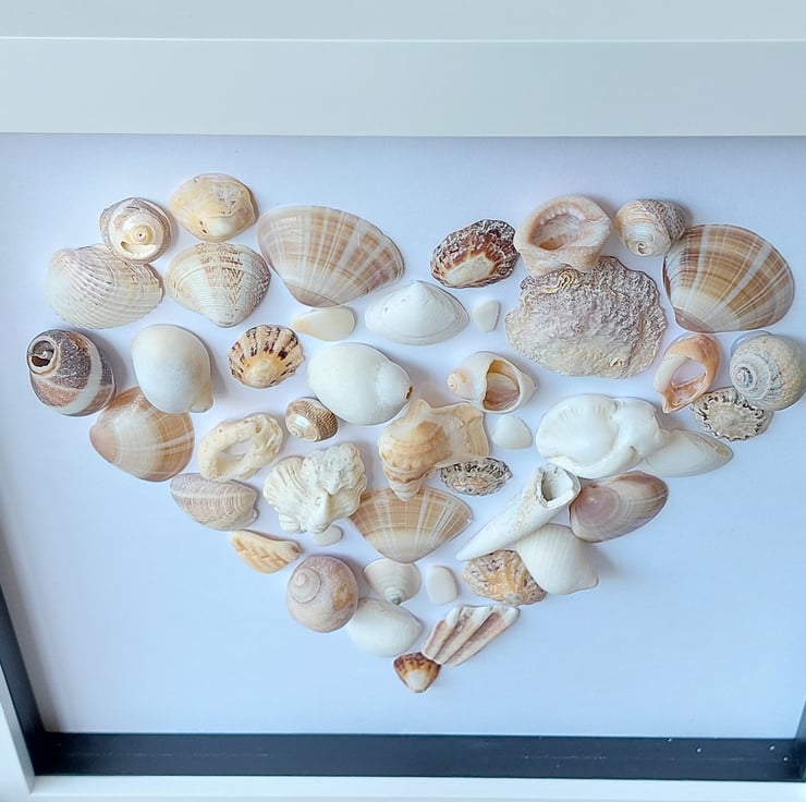 Cornish shell heart - Folksy