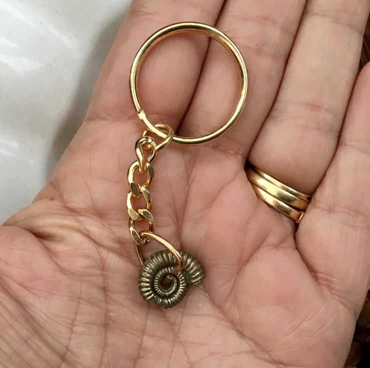 Small Prestige Golden Pyrite Ammonite Fossil Ke... - Folksy