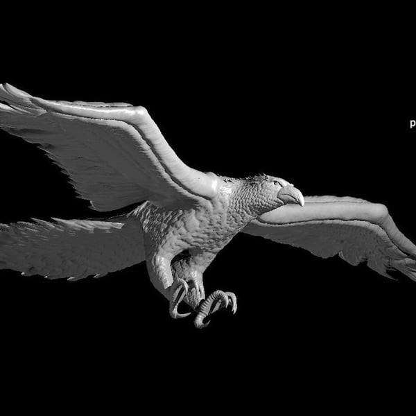 Roc - 3D Printed Resin DnD Pathfinder Figure Mi... - Folksy