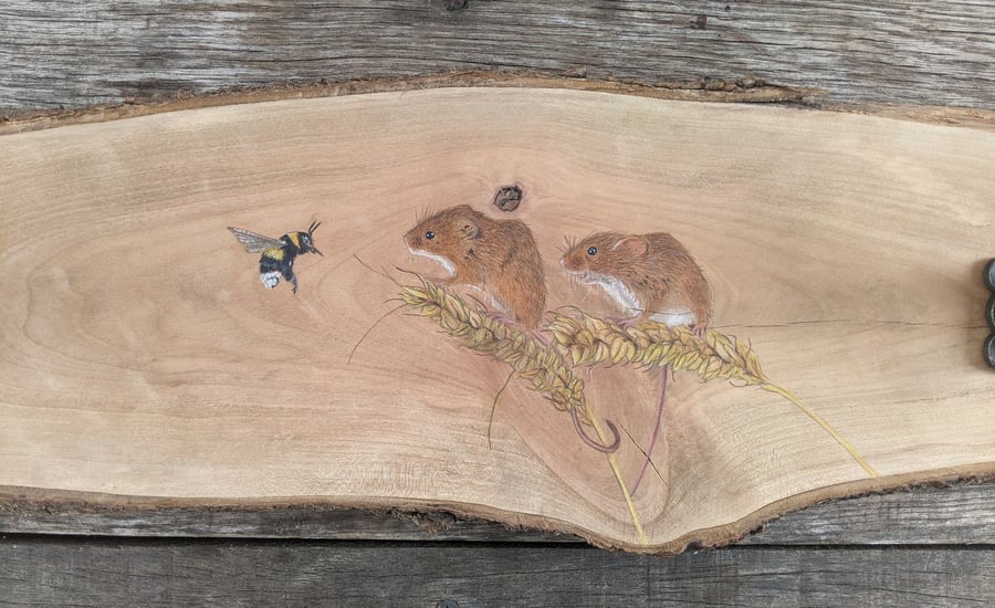 Original mouse coat hooks on reclaimed and repu... - Folksy