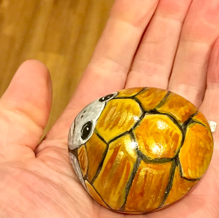 Tortoise hand painted pebble garden rock art st... - Folksy
