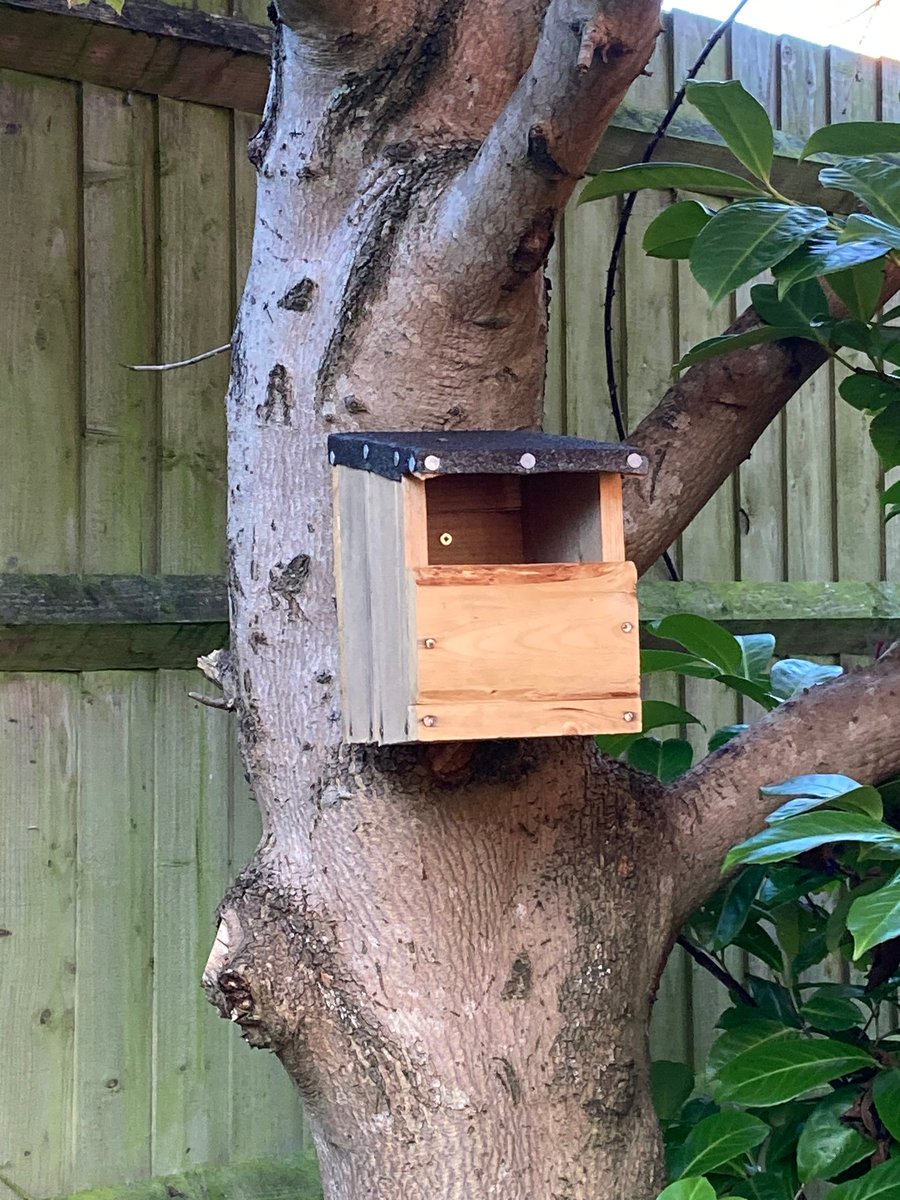 Handmade Natural Pine Wood Robin and Wren Nesti... - Folksy