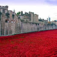 Tower of London Red Poppies England UK Photogra... - Folksy