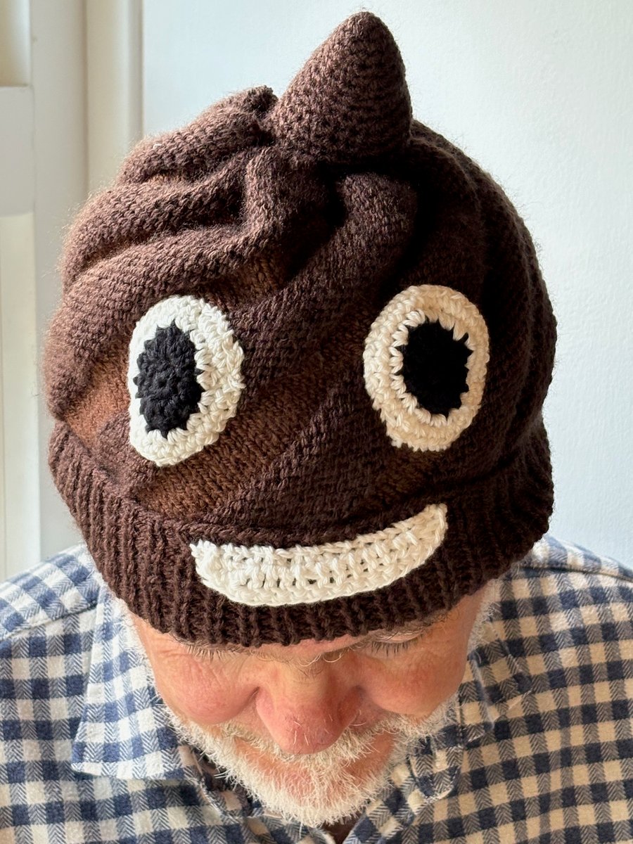 Novelty Poo emoji hat (adult) - Folksy