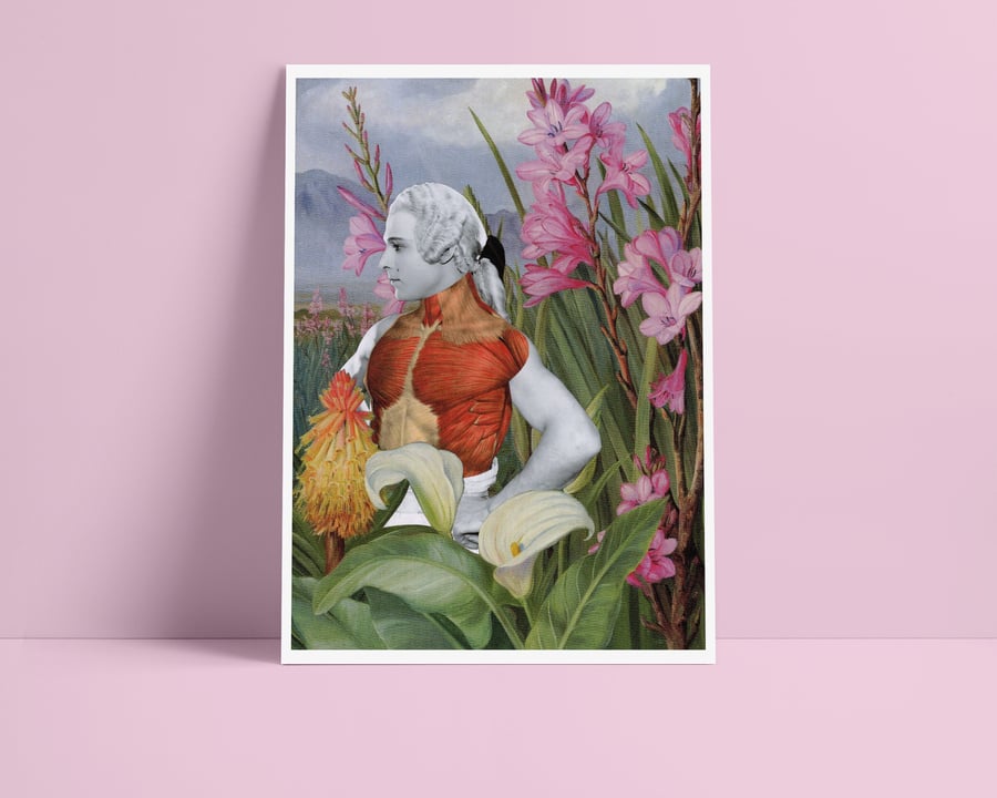 Rudolph - Anatomical Collage Print - Folksy