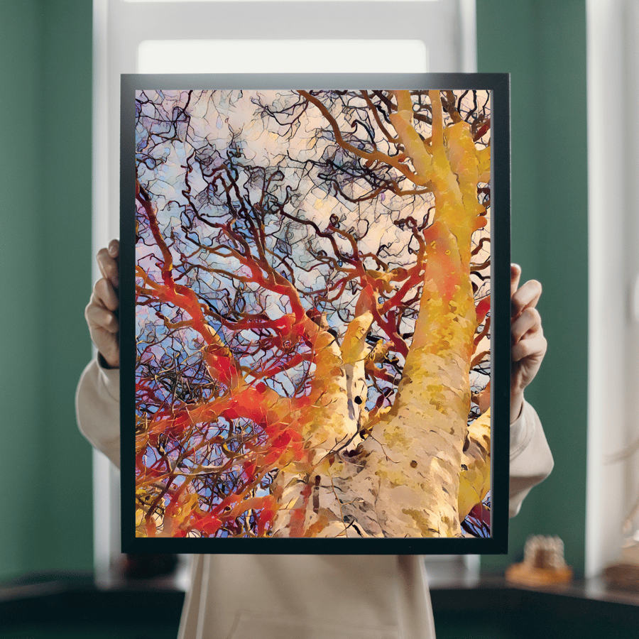 Curling Branches Retro Colour Tree Photographic... - Folksy