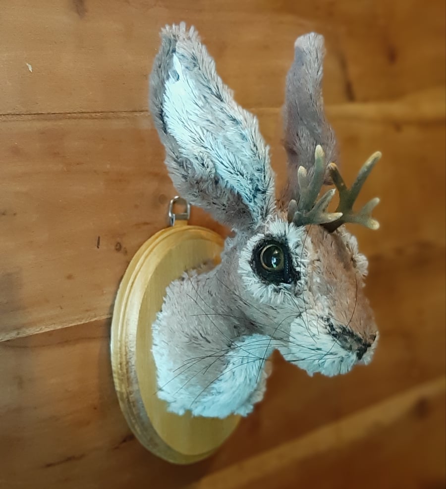 Jackalope trophy head faux fur fauxidermy - Folksy