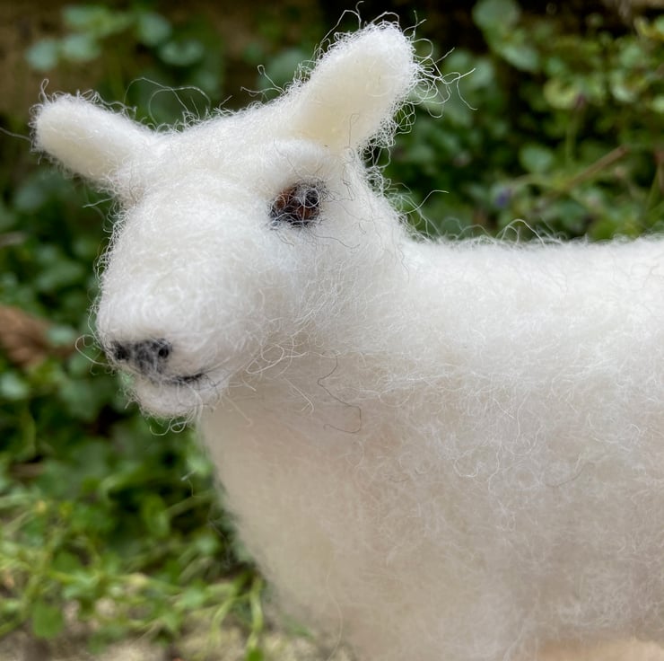 Needle felted sheep - Folksy