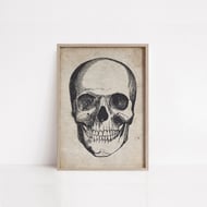 Human skull on vintage paper texture print - Folksy