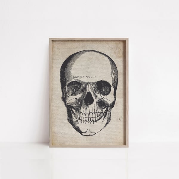 Human skull on vintage paper texture print - Folksy