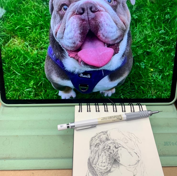 Pencil Sketch Pet Portrait - Folksy