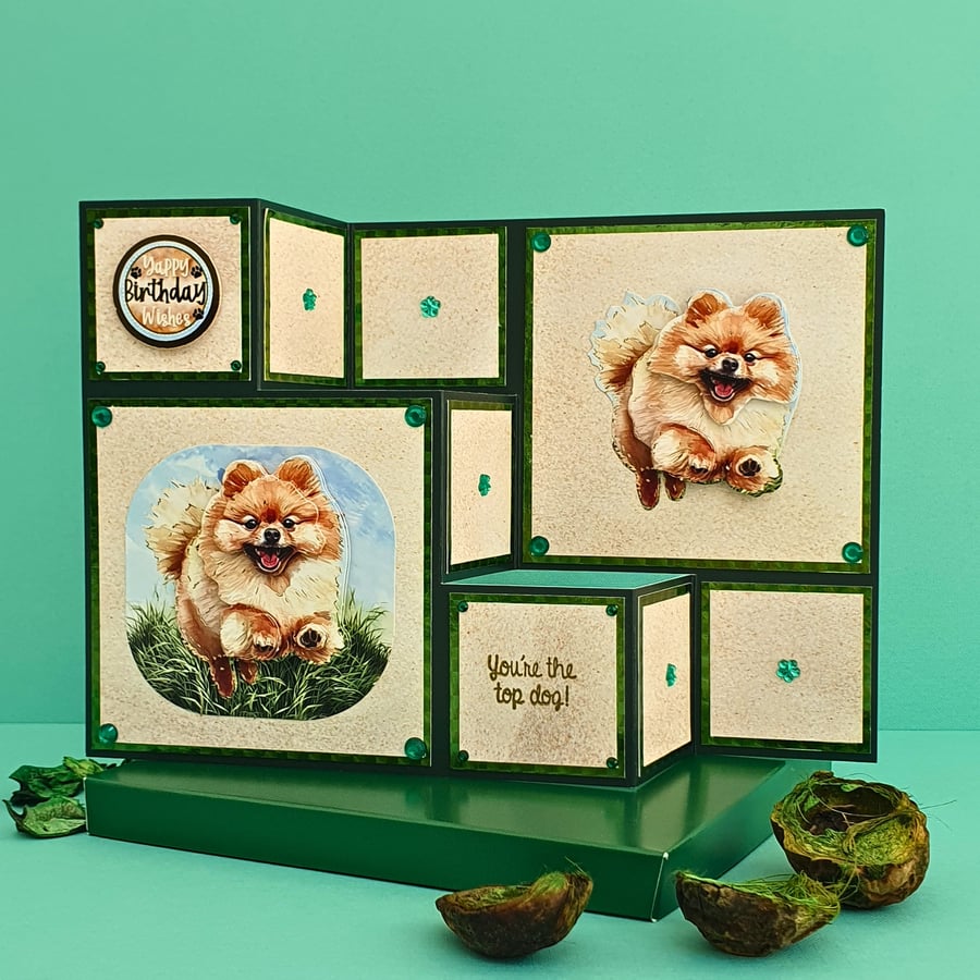 Pomeranian Birthday Card & Box, Decoupaged ... - Folksy