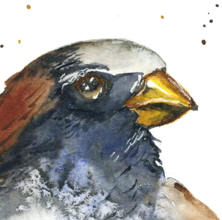 Sparrow Watercolour- Limited Edition Print - Folksy