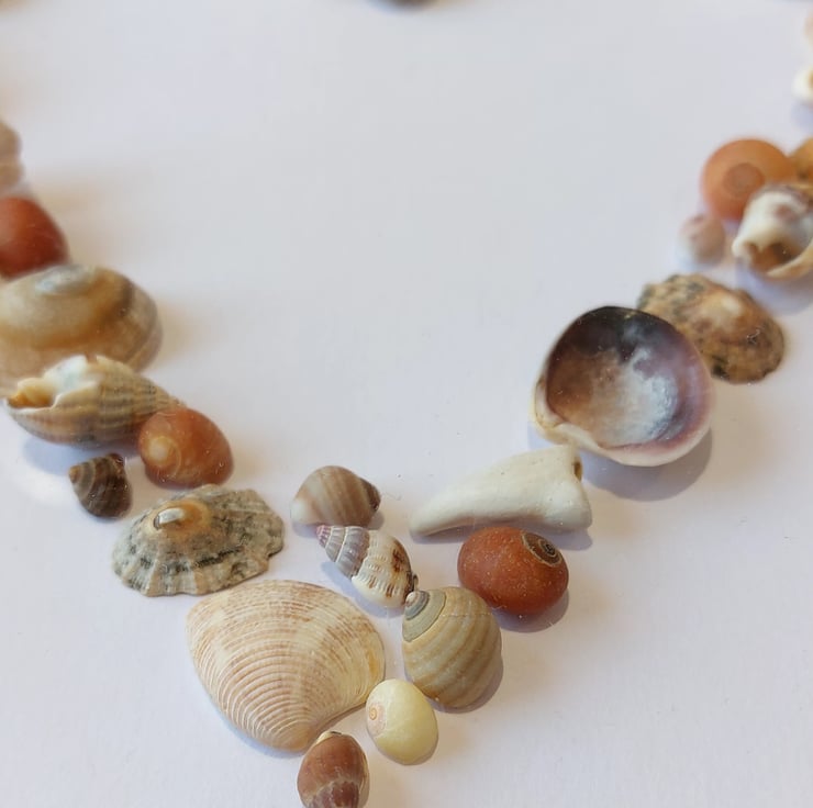 Cornish mixed shell heart framed wall art - Folksy